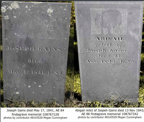 Tubbs | Each life has its place